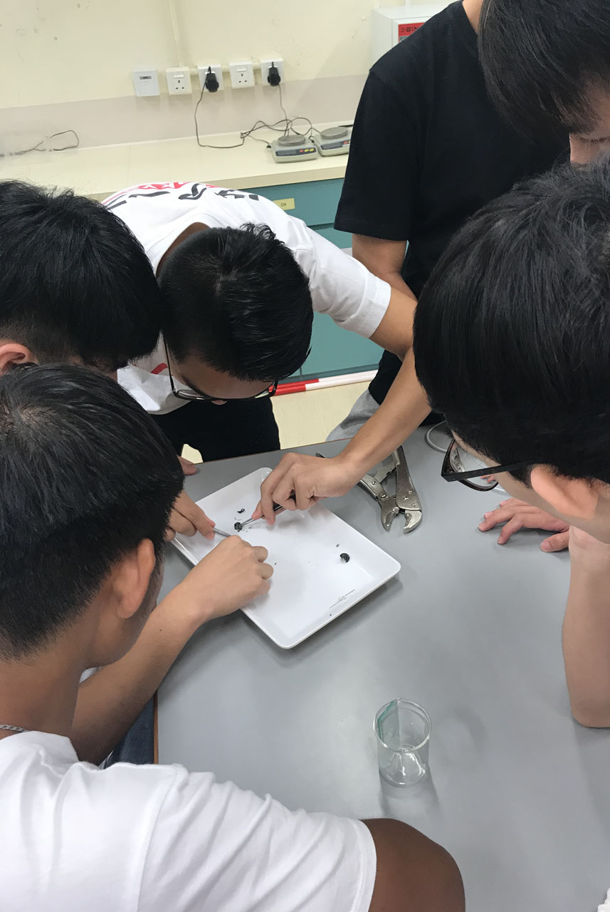 S5 Biology - Ecology Fieldwork | ECF SAINT TOO CANAAN COLLEGE
