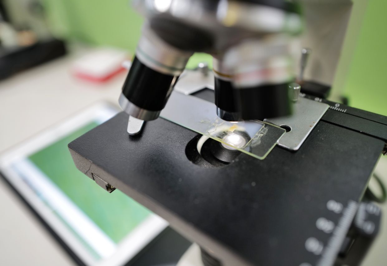 Visit to Ocean Park Academy Hong Kong | ECF SAINT TOO CANAAN COLLEGE