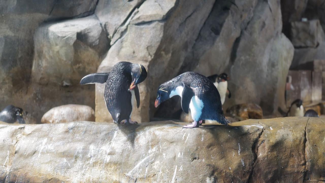 Visit to Ocean Park Academy Hong Kong | ECF SAINT TOO CANAAN COLLEGE